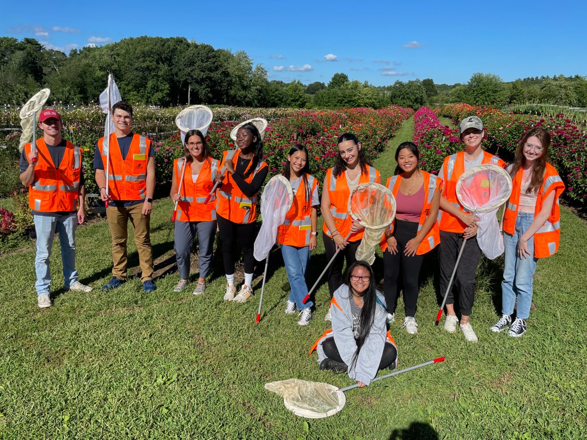 Teaching – Providence Pollinator Lab