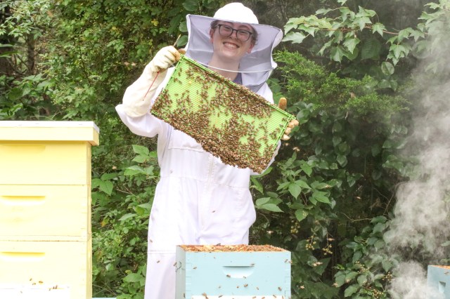 Honey bee research in collaboration with local beekeepers – Providence Pollinator Lab