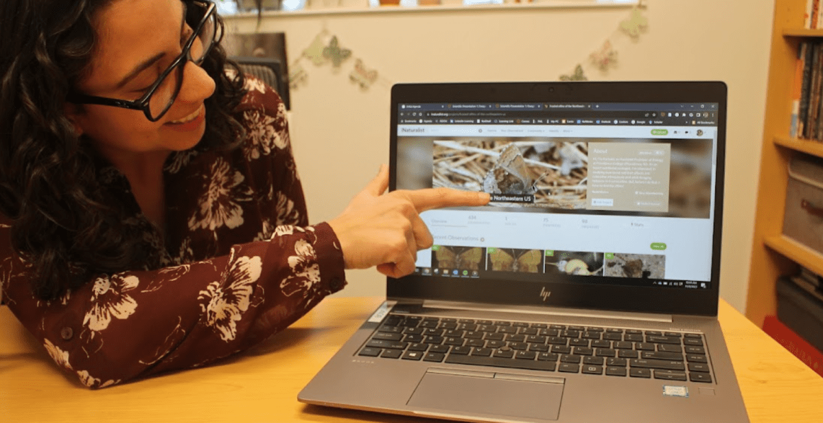 ecoRI news: Pokémon in Real Life – Providence Pollinator Lab